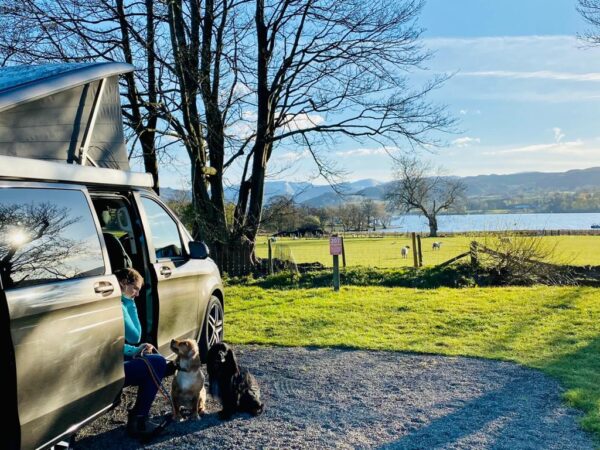 Camping > Lake District Campsite